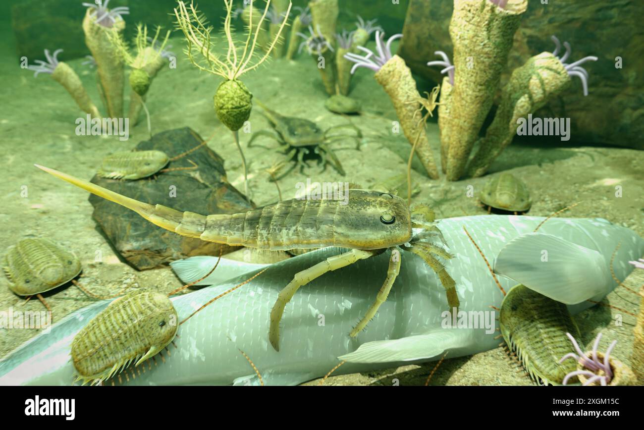 An illustration of Silurian period seafloor scene 418 million years ago ...