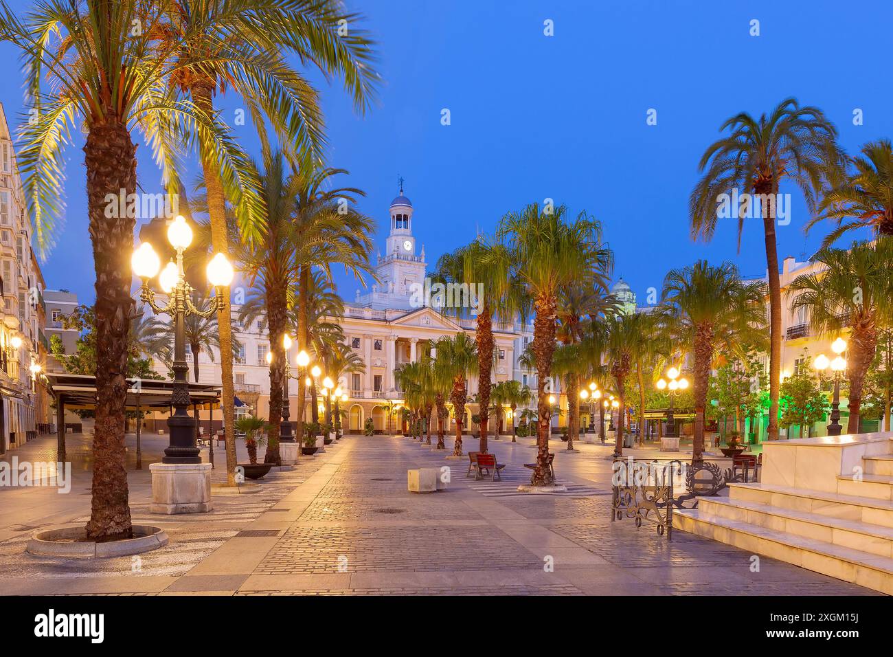 Night view of San Juan de Dios Square with illuminated palm trees and ...