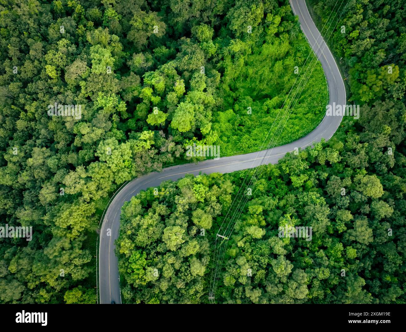 Aerial view of dense green trees in forest capture CO2 and curve ...
