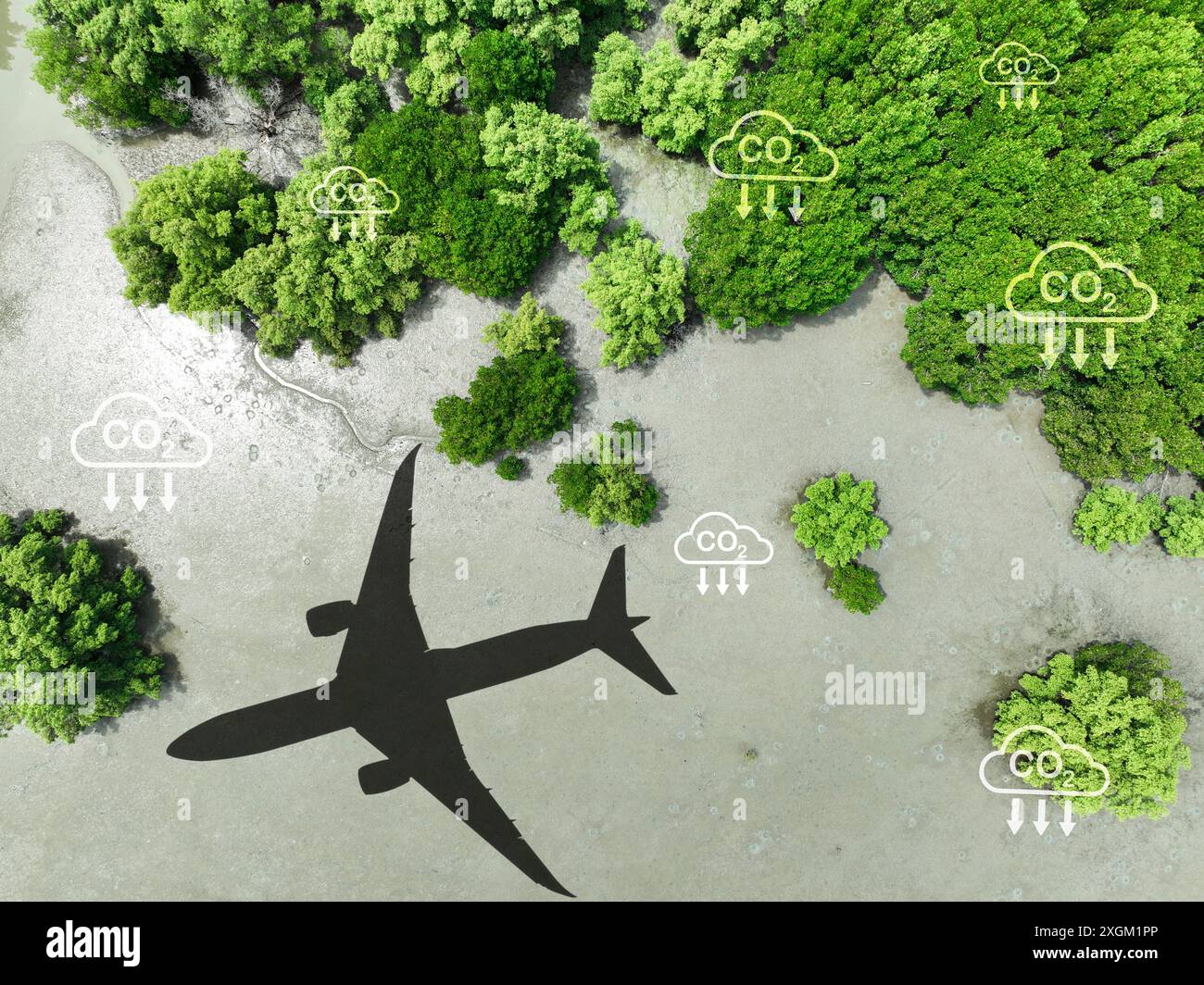 Shadow airplane flying above mangrove forest. Sustainable fuel. Biofuel ...