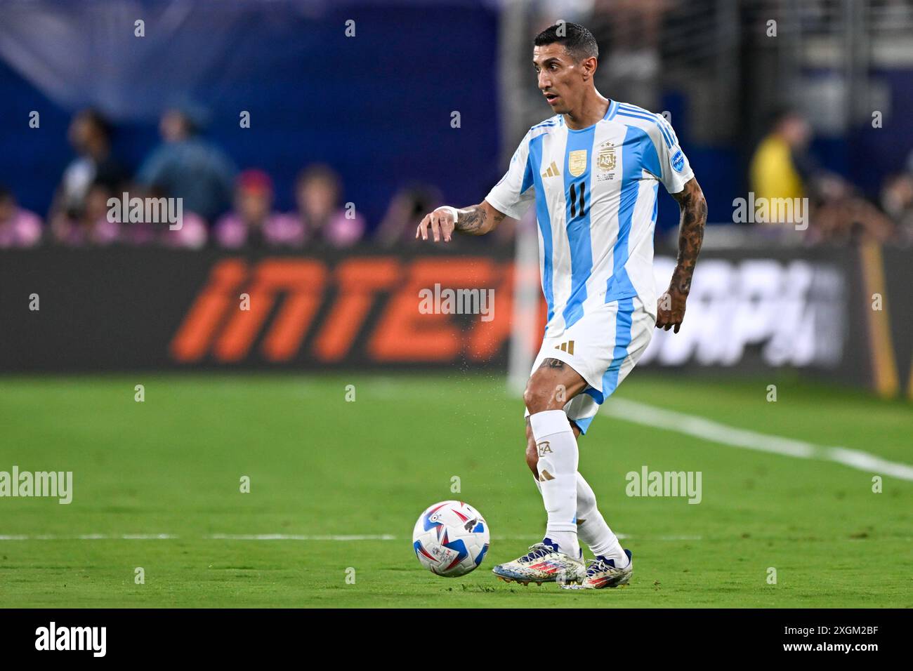 East Rutherford, United States. 16th Nov, 2022. EAST RUTHERFORD, UNITED ...