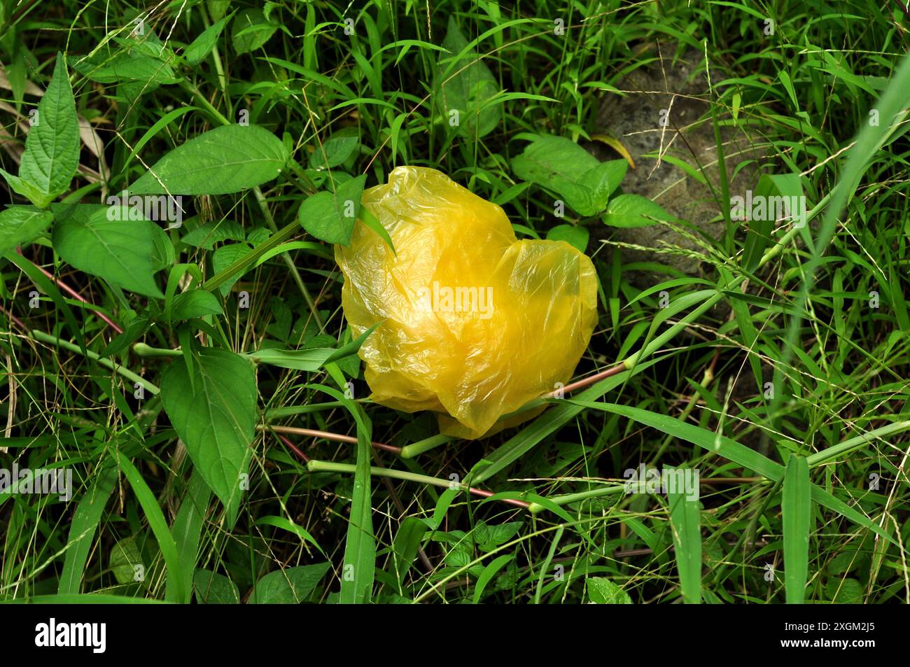 Yellow plastic bag waste pollutes the environment Stock Photo - Alamy
