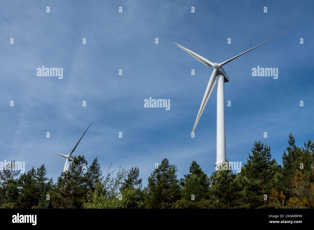 Surrounded with clean environment hi-res stock photography and images ...