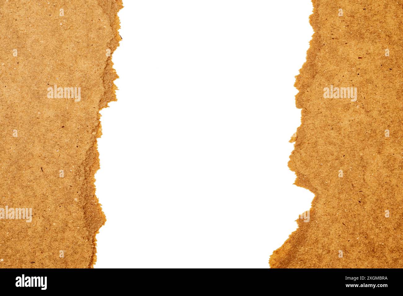Image of ripped paper for copy space on a white background Stock Photo ...