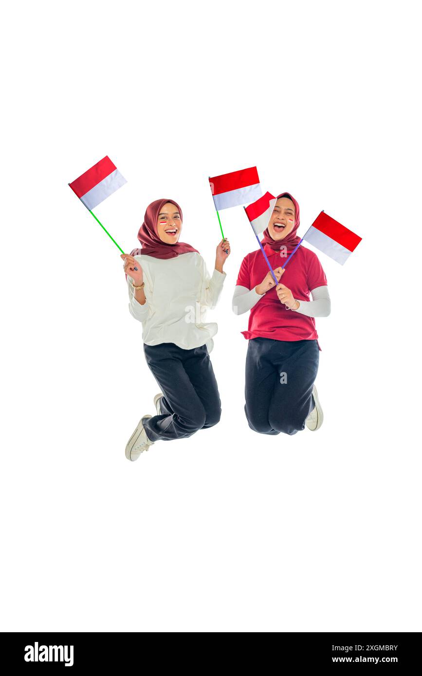 Two spirit pride flag Cut Out Stock Images & Pictures - Alamy