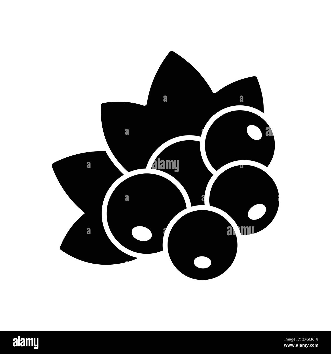 White grape currant Black and White Stock Photos & Images - Alamy