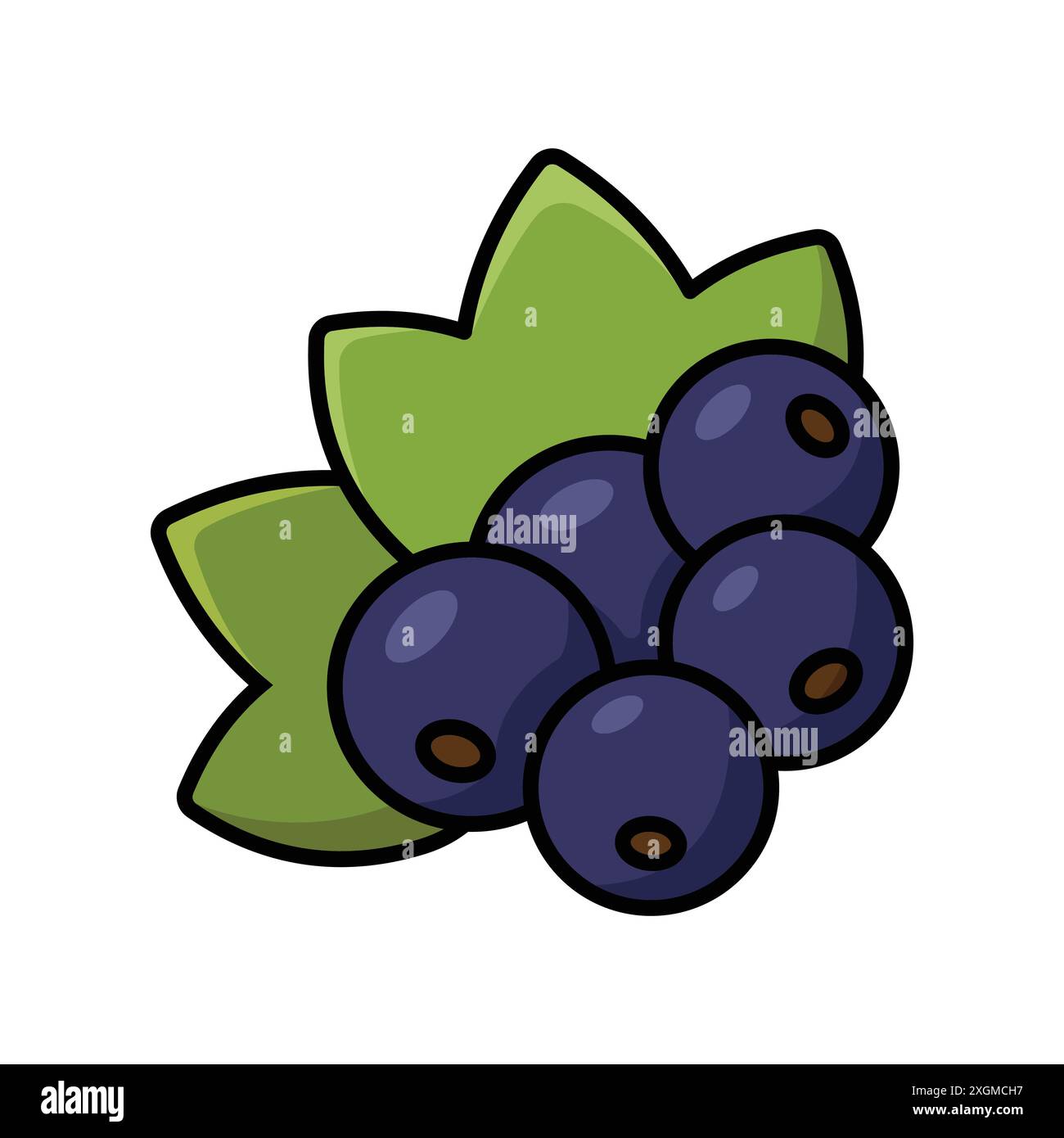 black currant icon vector design template in white background Stock ...