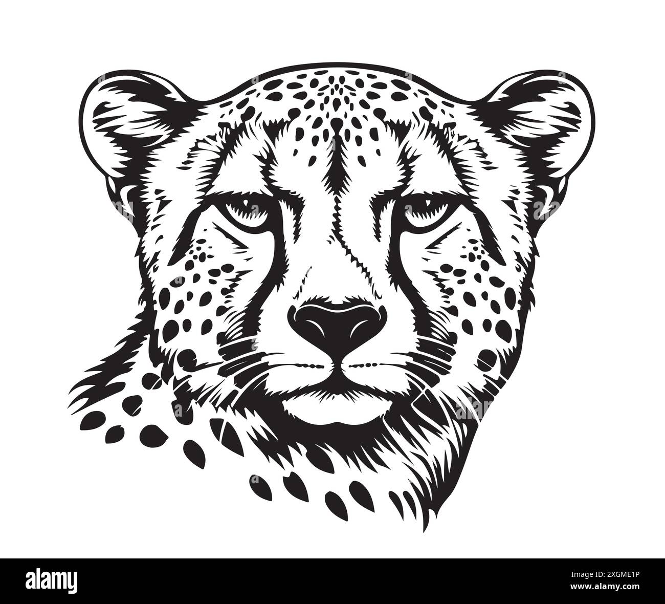 Cartoon cheetah head, Face , mascot or logo design, vector illustration ...