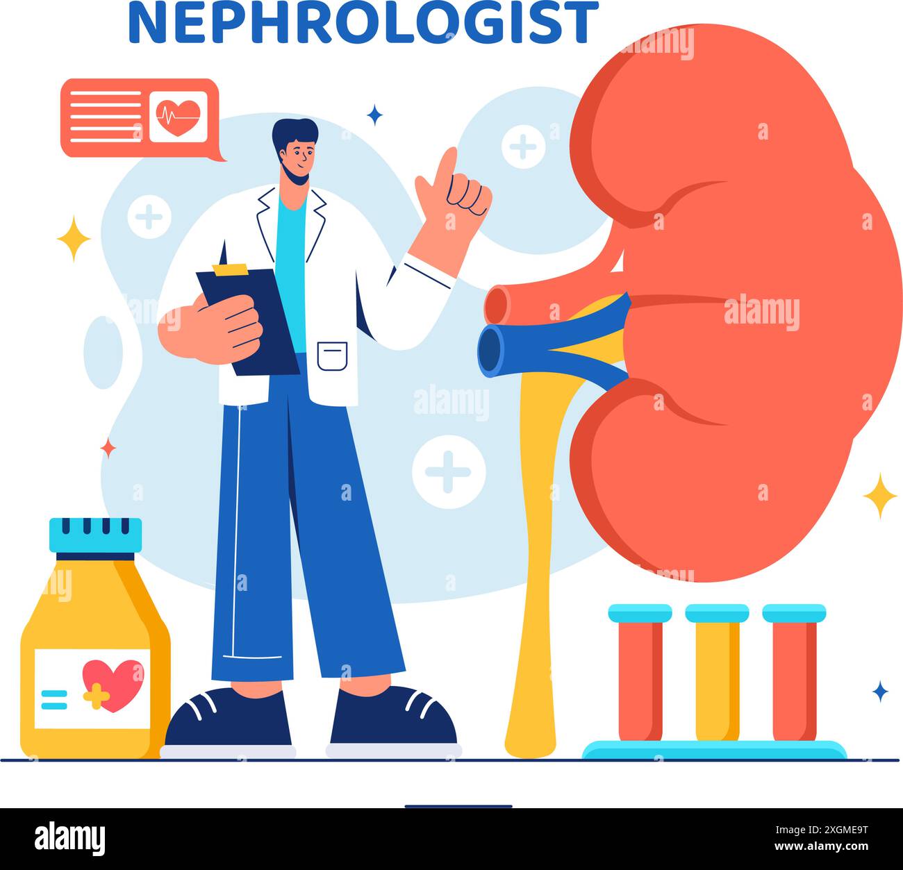 Nephrologist Vector Illustration featuring a Cardiologist, Proctologist ...