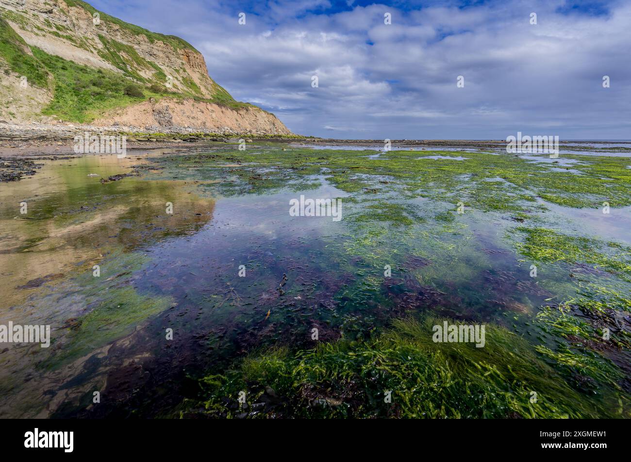 Low tide exposes the rock pools at Skinningrove Stock Photo - Alamy