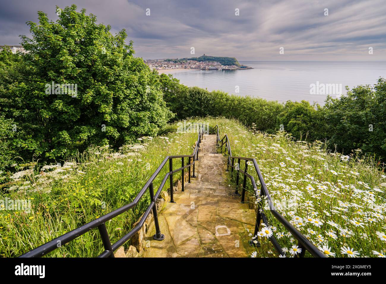 Scarborough castle flowers hi-res stock photography and images - Alamy