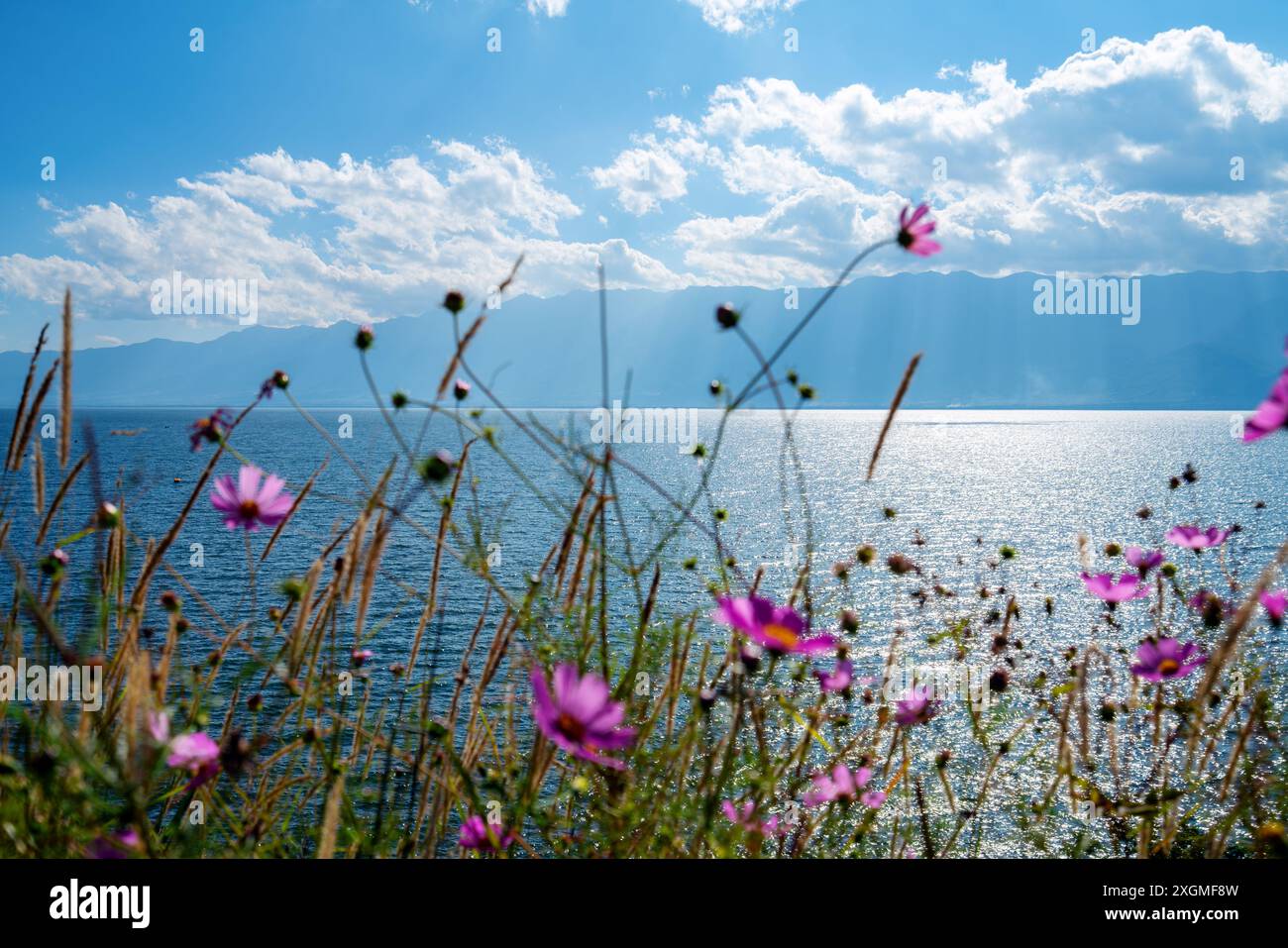 View erhai lake dali hi-res stock photography and images - Alamy