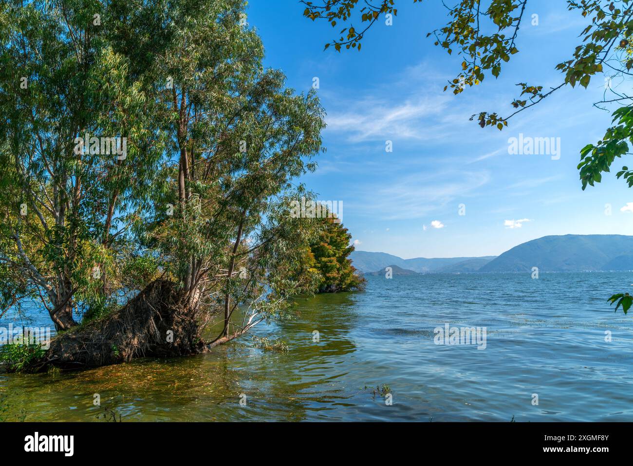 Landscape of Erhai Lake, located in Dali, Yunnan, China Stock Photo - Alamy