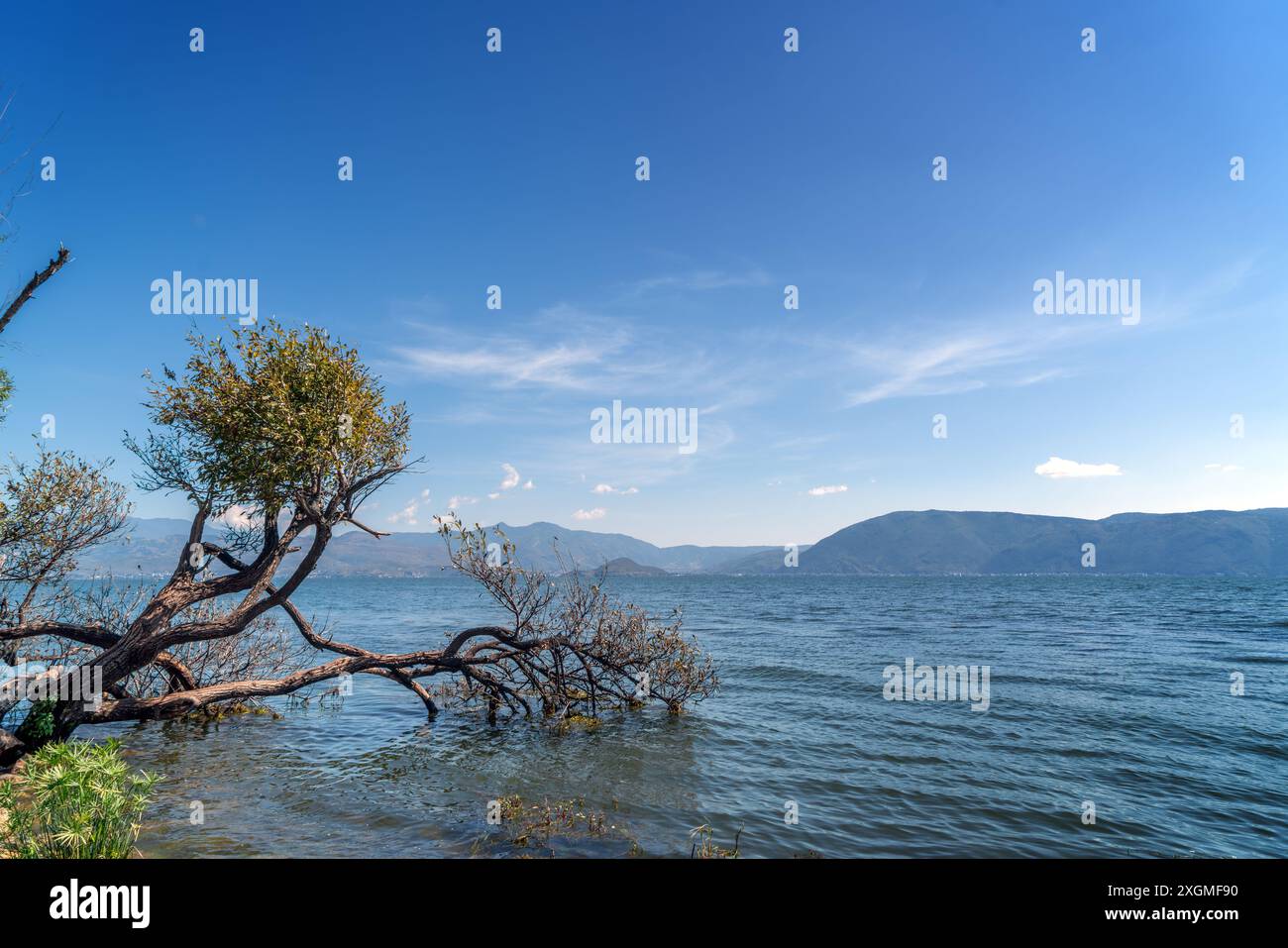 Landscape of Erhai Lake, located in Dali, Yunnan, China Stock Photo - Alamy