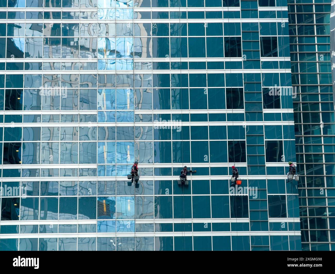 Four window cleaners suspended on ropes, cleaning a modern glass ...