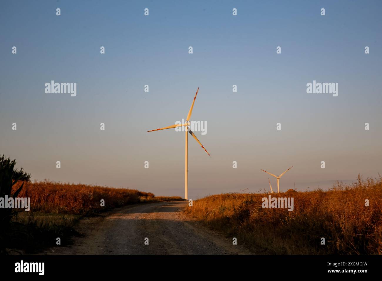 Wind farm is seen on an agricultural field against a sunset in a ...