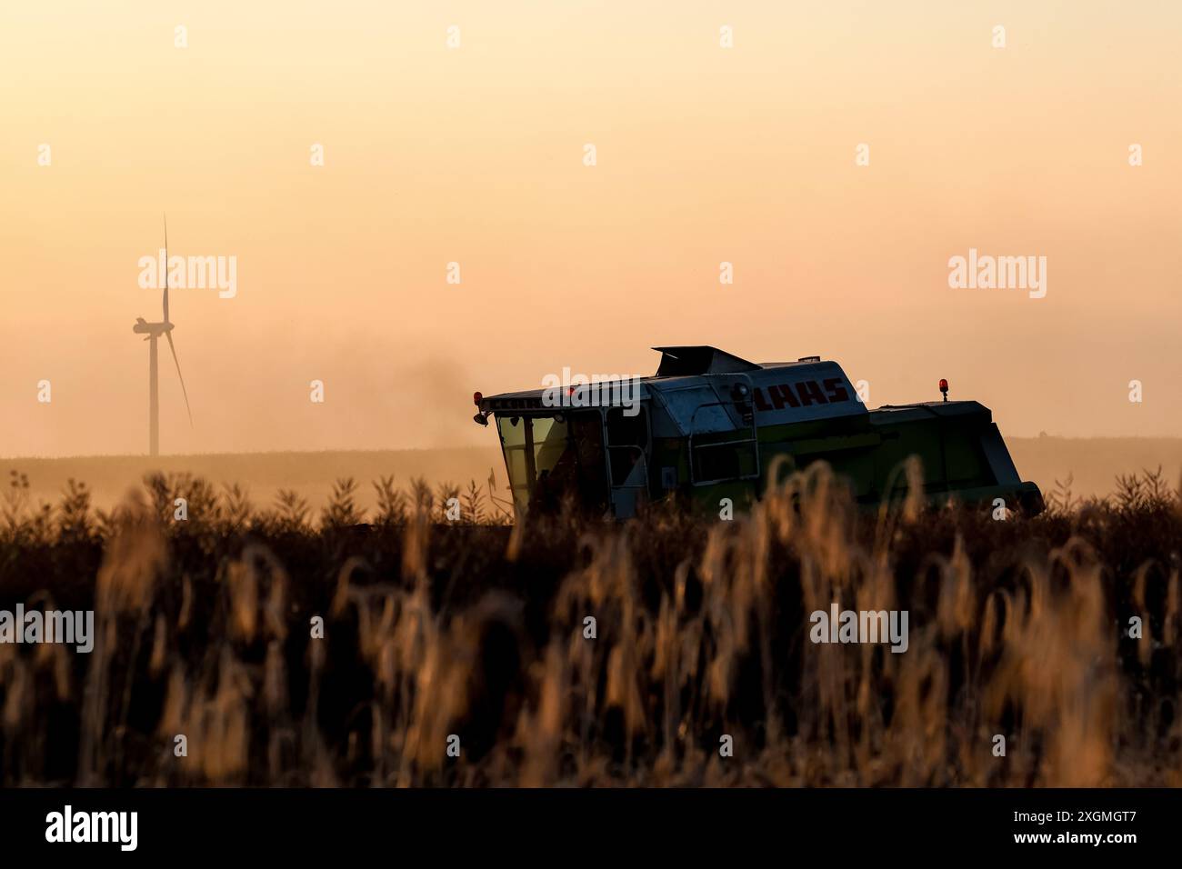 Wind farm is seen on an agricultural field against a sunset in a ...
