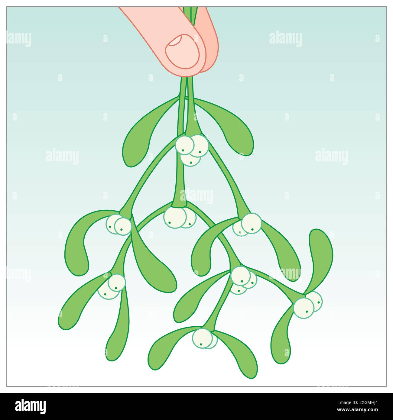 Icy grip Stock Vector Images - Alamy