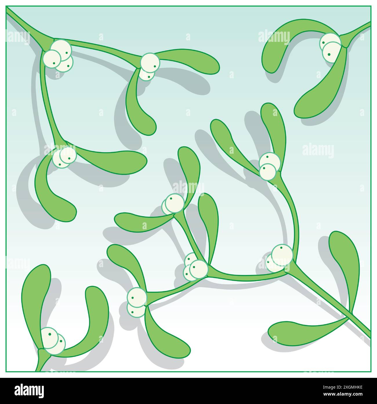 Tradition mistletoe christmas plant Stock Vector Images - Alamy