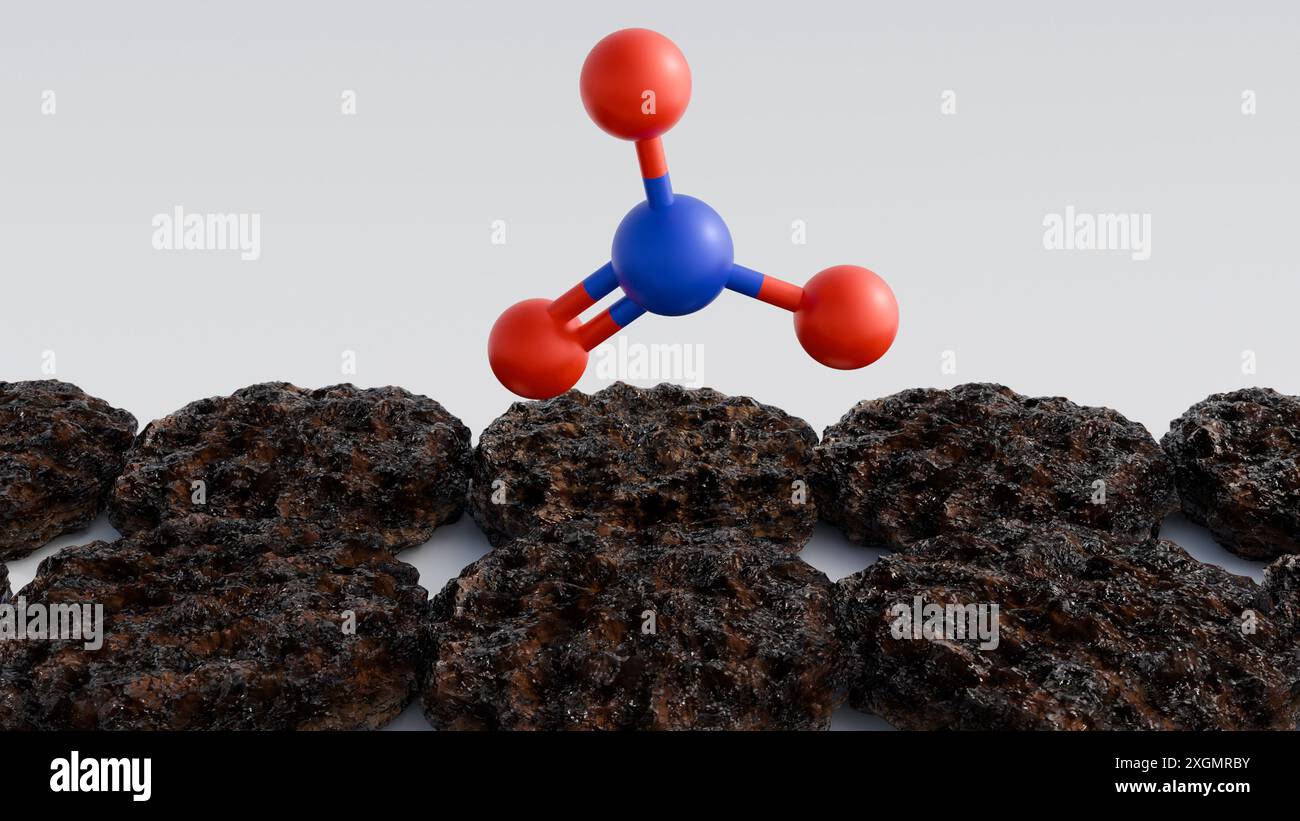 3D rendering of cooked beef patty with nitrate molecules isolated in a ...