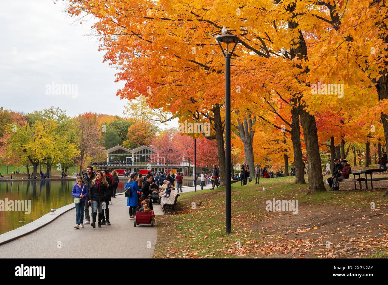 Beaver Lake, Mount Royal Park ( Parc du Mont-Royal ) in autumn. People ...