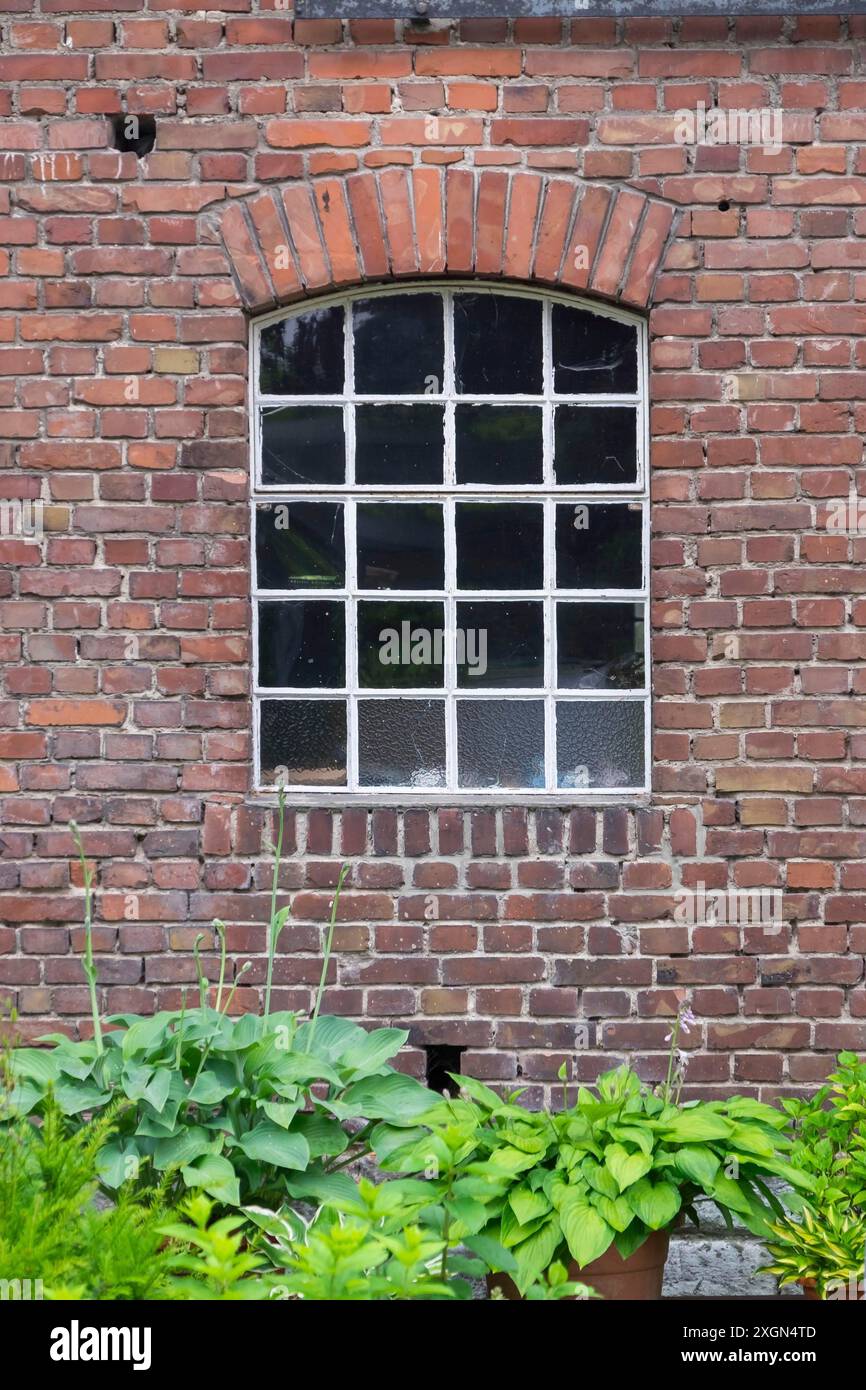 Brick wall with arched window, stable window and lush green plants in ...