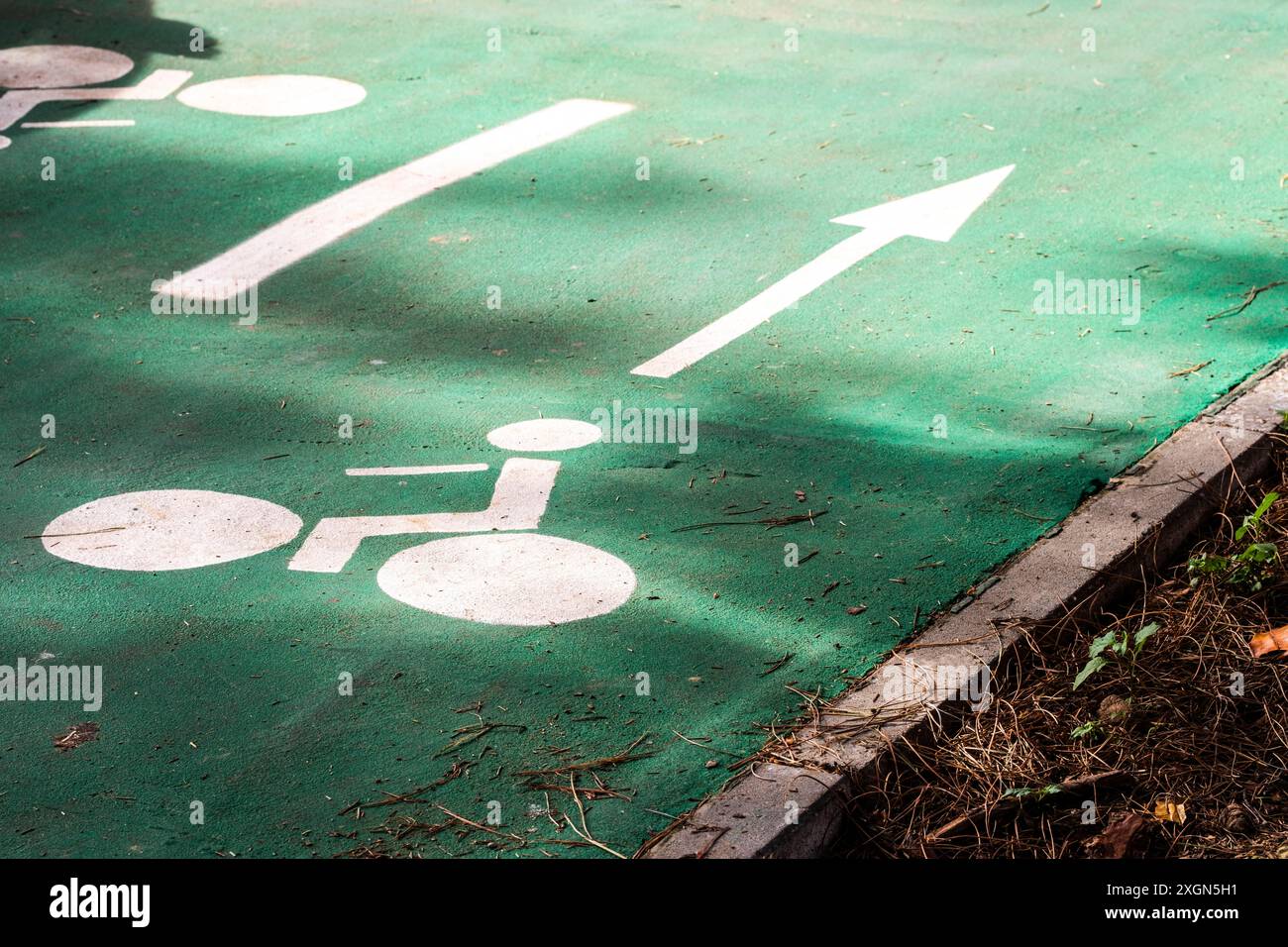 Traffic sign in an exclusive lane for bicycle use Stock Photo - Alamy