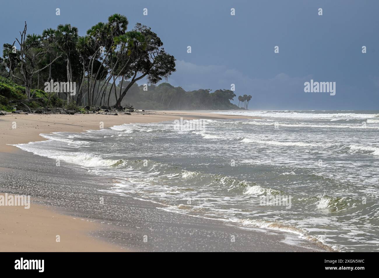 Beach, Petit Loango, Loango National Park, Parc National de Loango ...