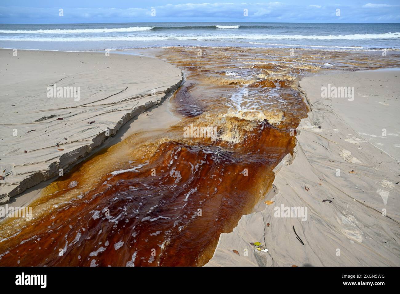 Tannic water from the Congo Basin flows into the sea, Petit Loango ...