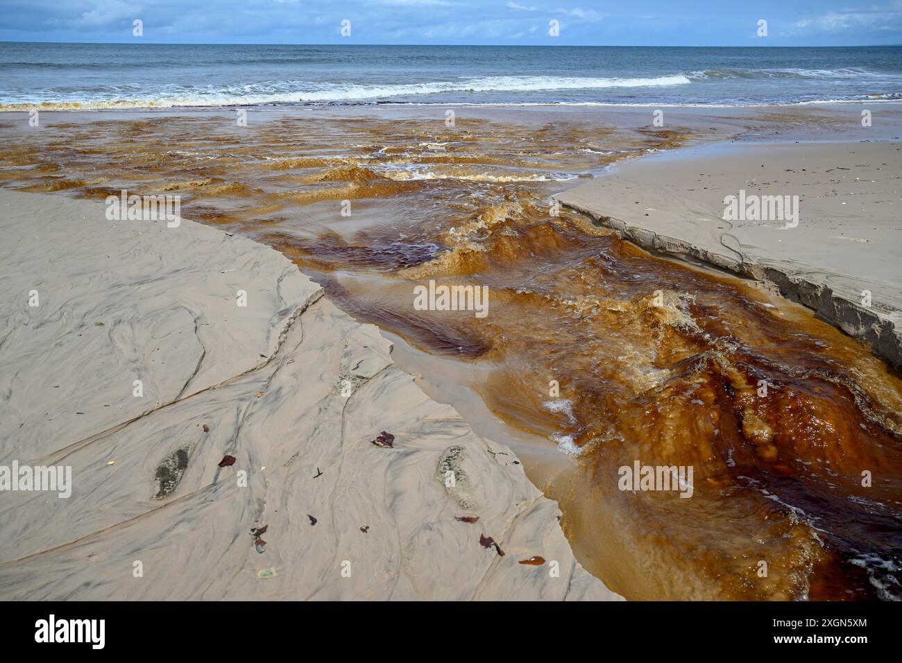 Tannic water from the Congo Basin flows into the sea, Petit Loango ...
