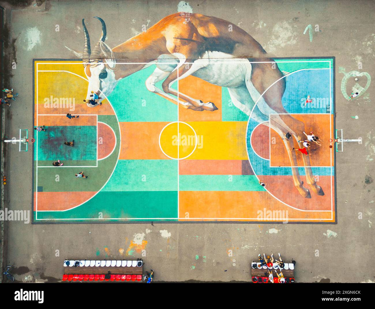 Goat play ground hi-res stock photography and images - Alamy