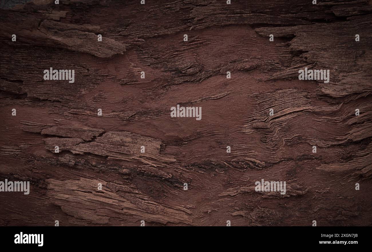 Walnut wood texture hi-res stock photography and images - Alamy