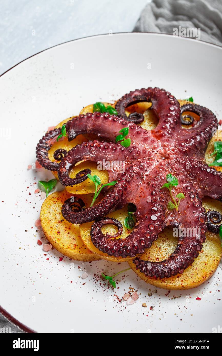 Octopus with potatoes and spices, on a light plate, top view, no people ...