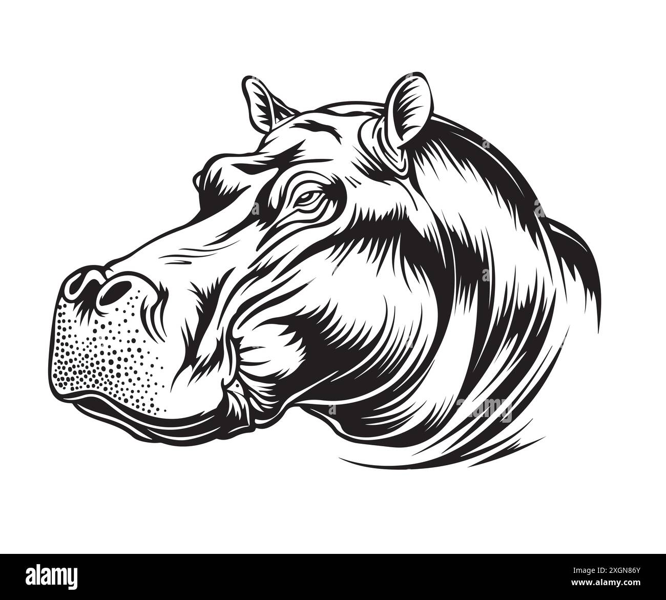 black and white engrave isolated hippo vector illustration Stock Vector ...
