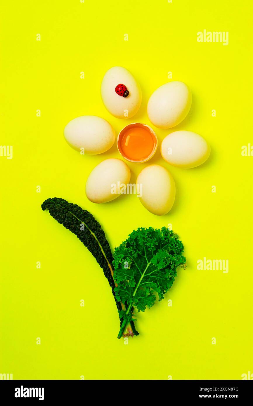 Fresh eggs, on a yellow background, in the shape of a chamomile with ...