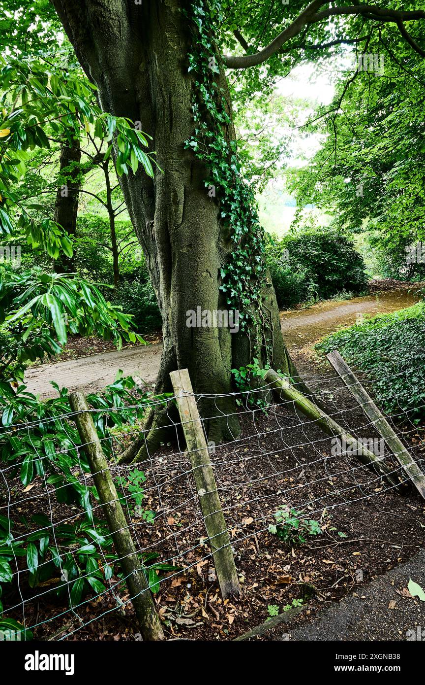 The fallen fence hi-res stock photography and images - Alamy