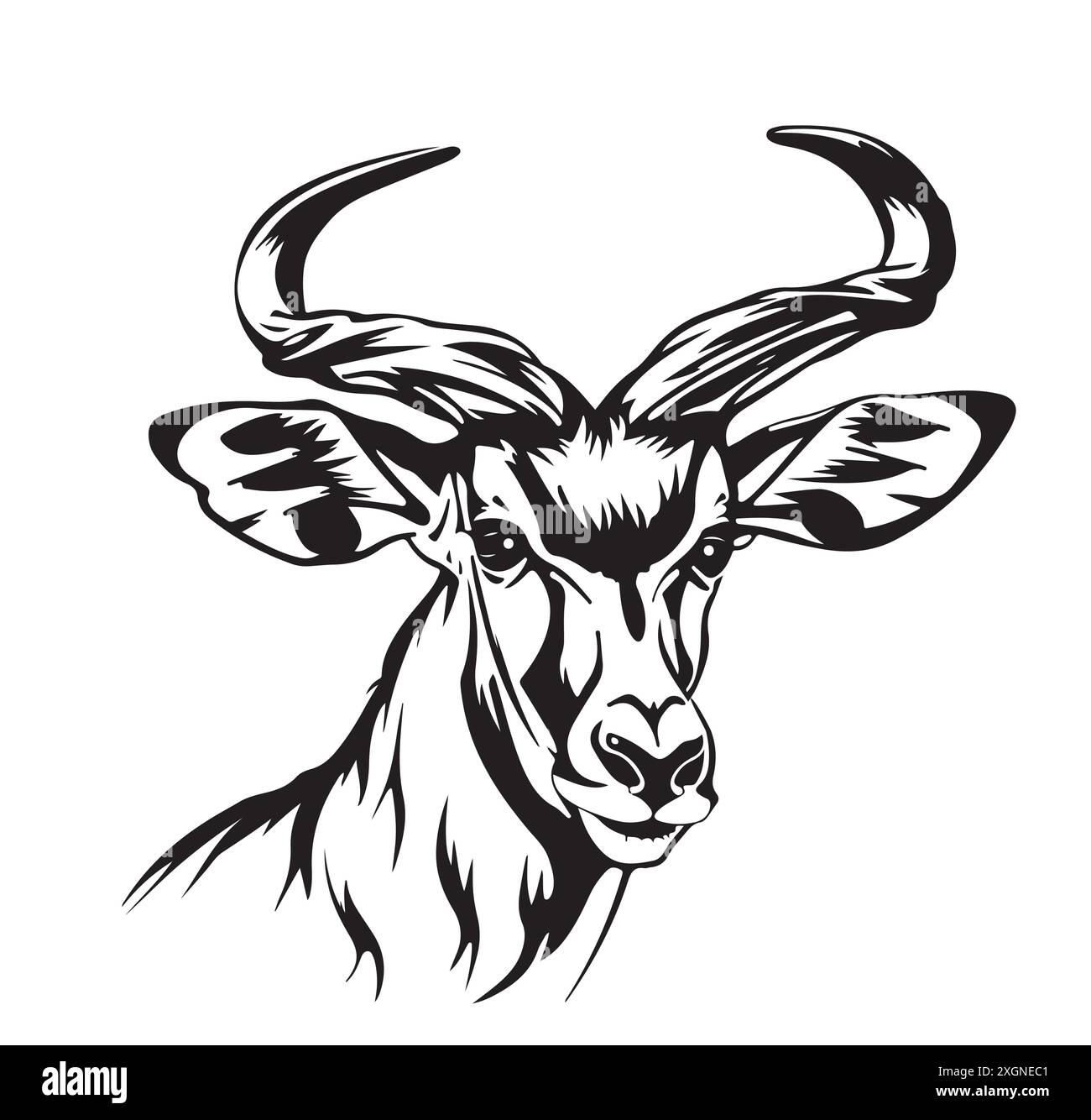 Hand drawn sketch style lesser kudu antelope isolated on white ...