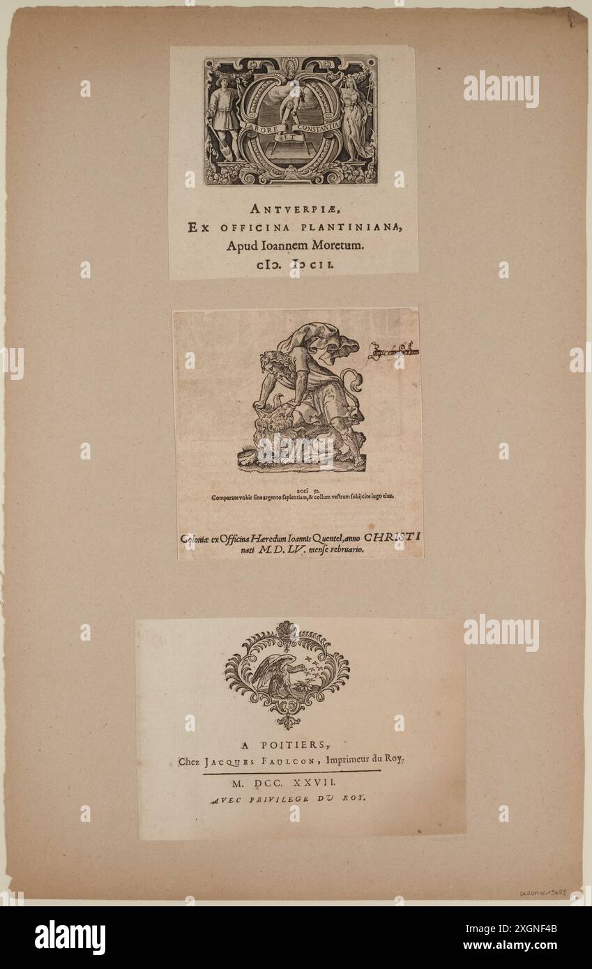 Faulcon hi-res stock photography and images - Alamy