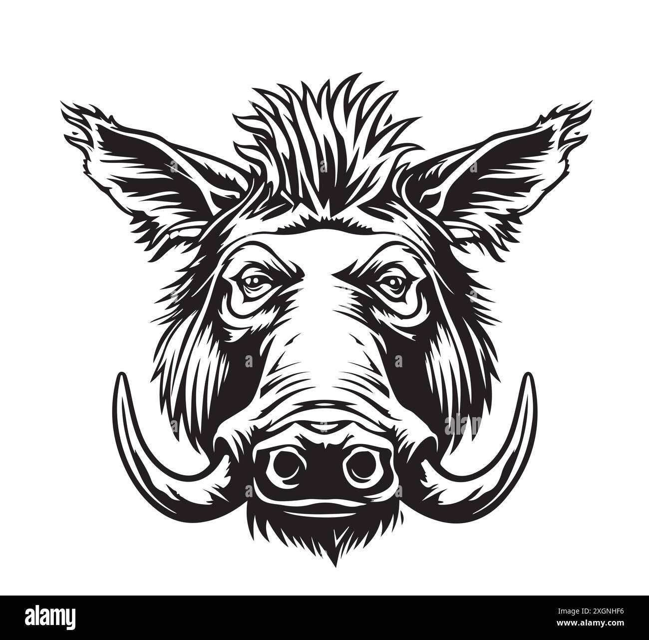 Wild pig illustration Black and White Stock Photos & Images - Alamy