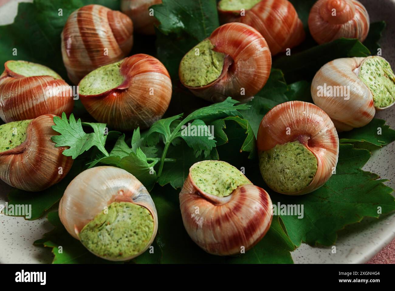 Grape snails, stuffed in burgundy, french cuisine Stock Photo - Alamy