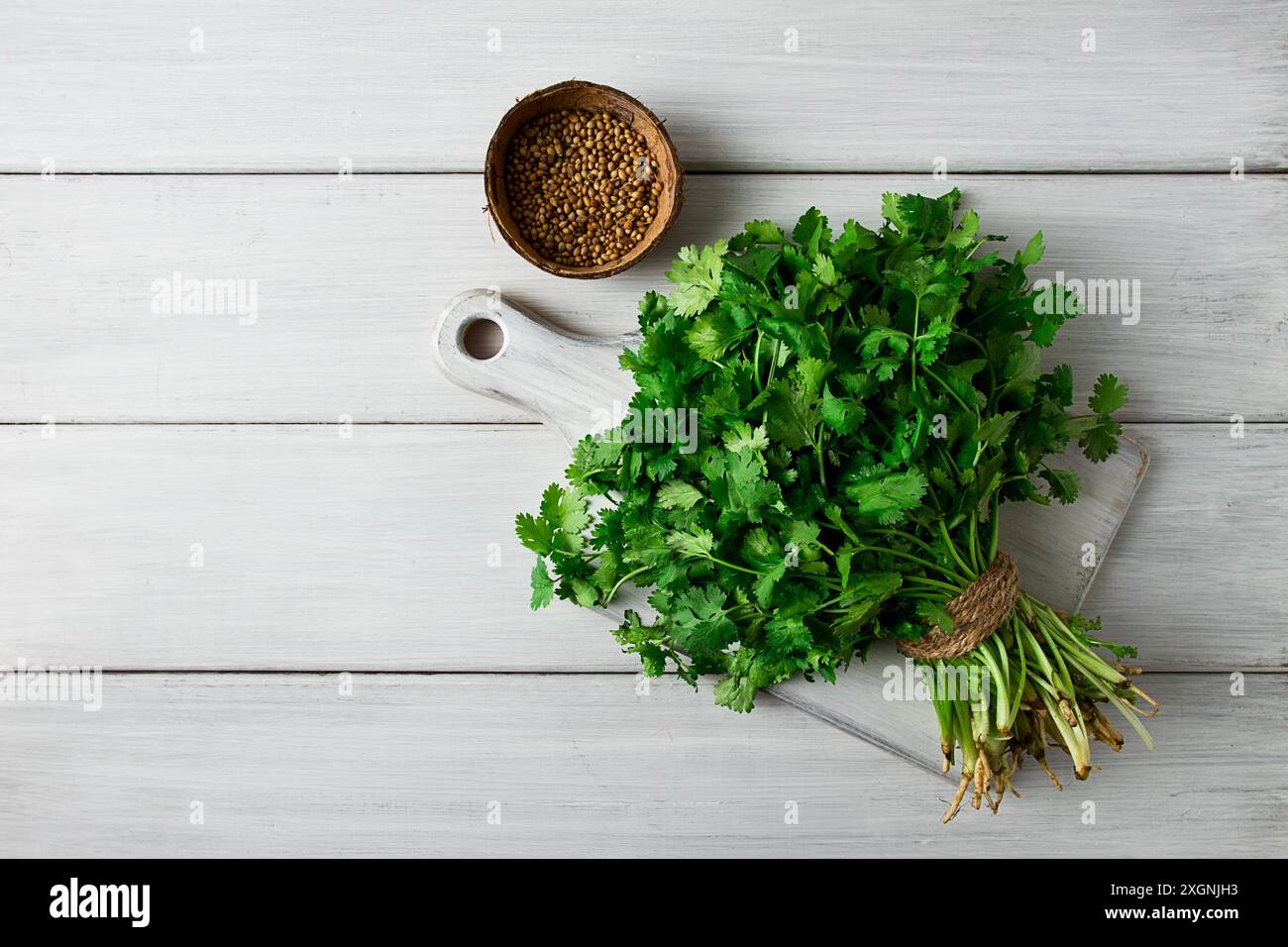 Bunch of fresh Cilantro, on a white wooden table, close-up, top view ...
