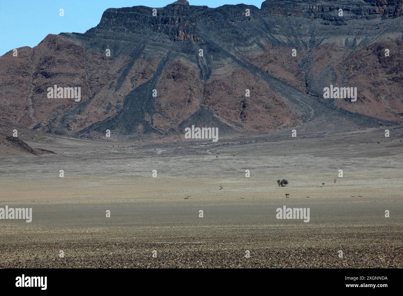 The colours of the Namib Desert, Namibia, Africa The Namib Desert is ...