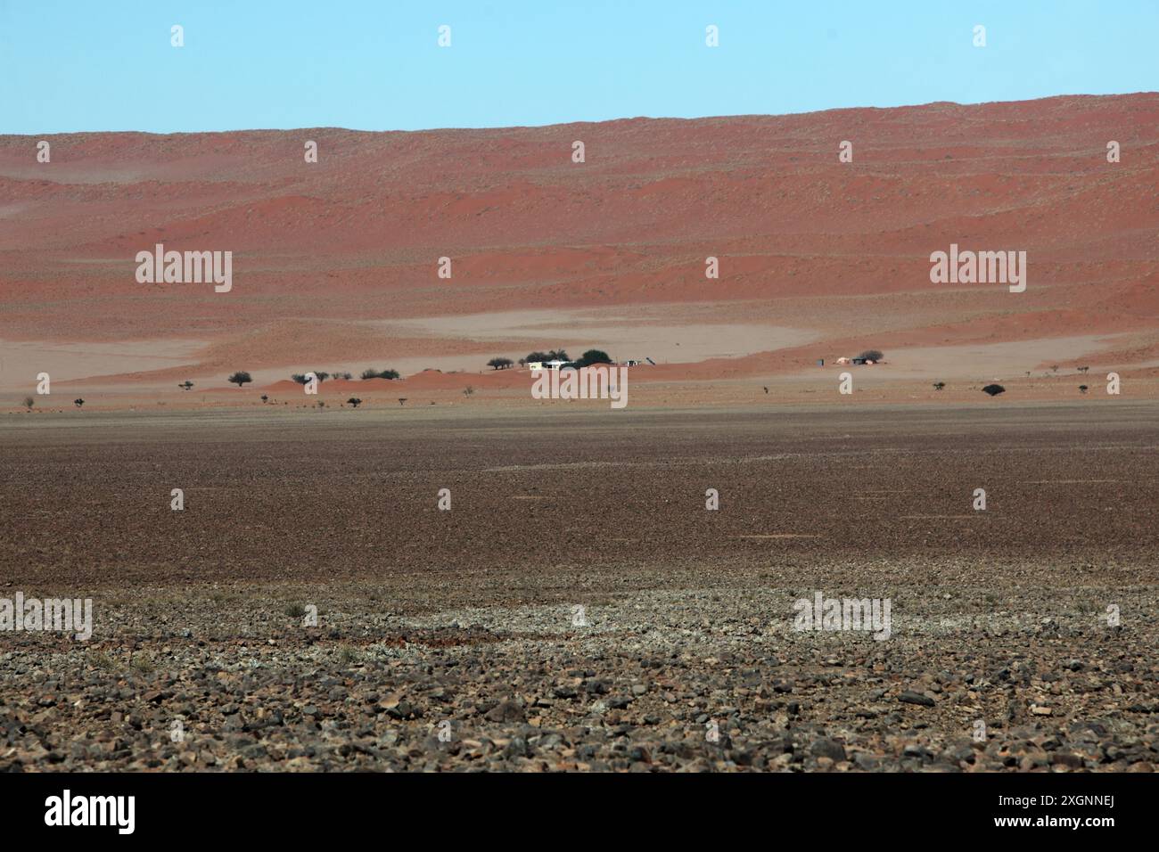 Due Colours of the Desert Namib, Namibia, Africa The Namib Desert is the oldest desert on earth ...