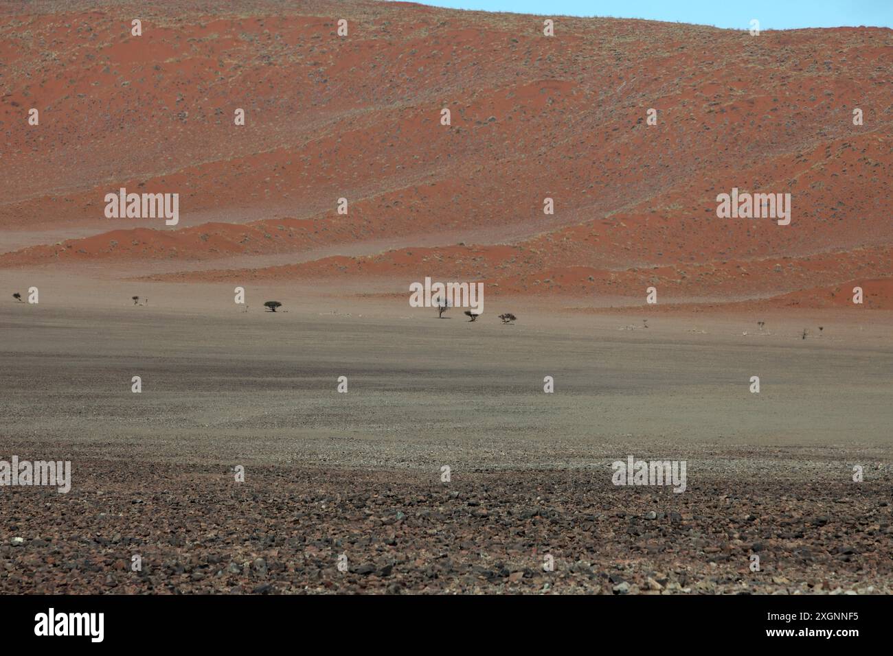 Due Colours of the Desert Namib, Namibia, Africa The Namib Desert is ...