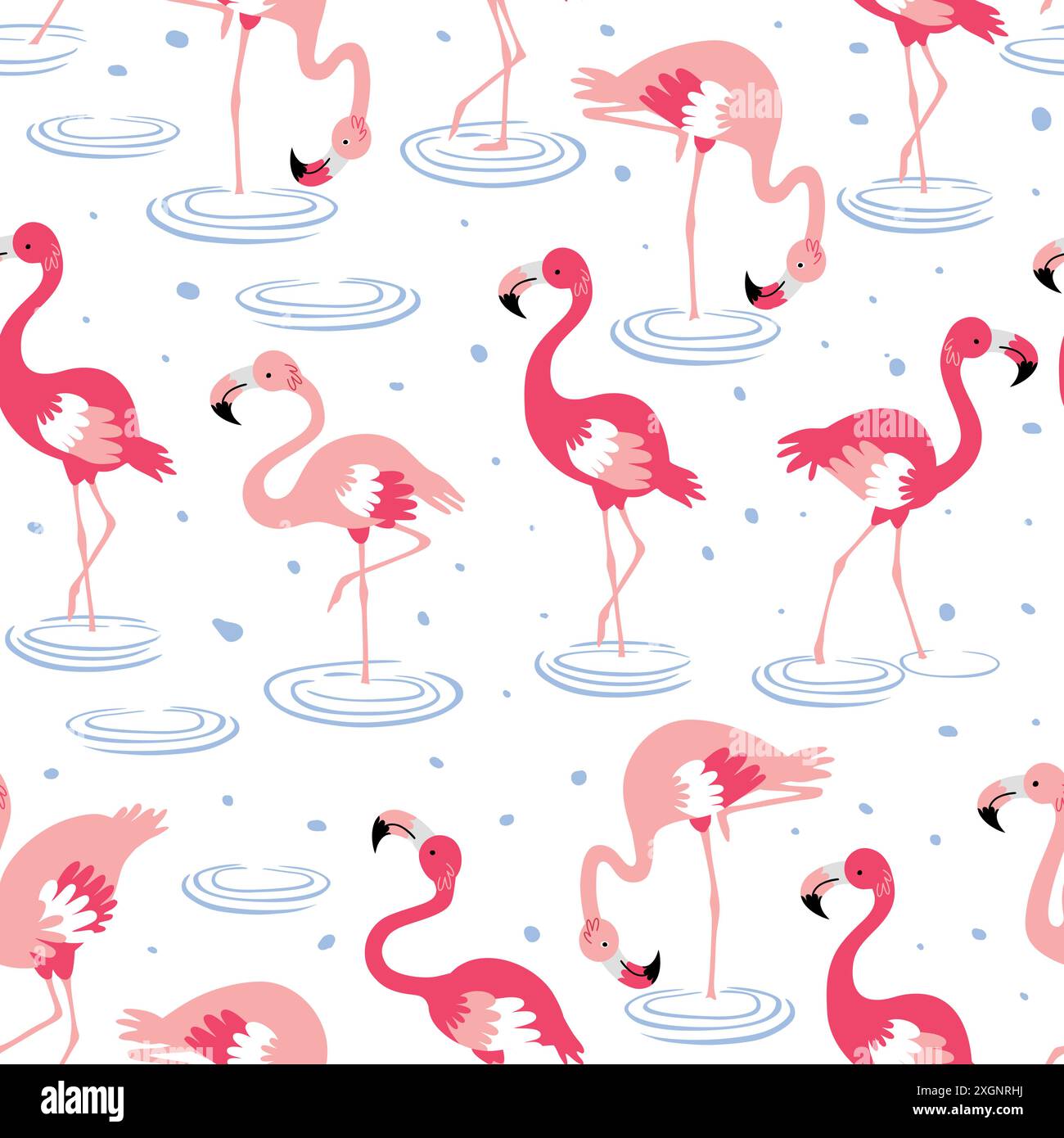 Pattern pink flamingos in water tropical on a white background. Pink ...