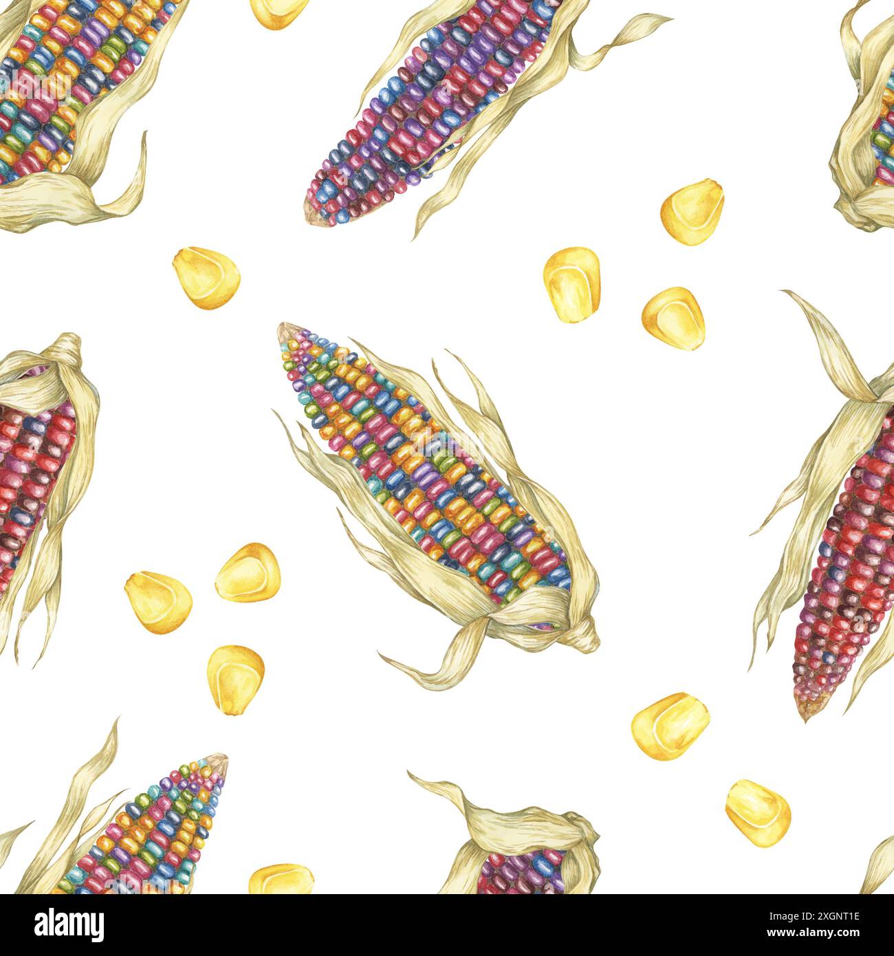 Heirloom Indian corn seamless pattern, rainbow cobs textile ...