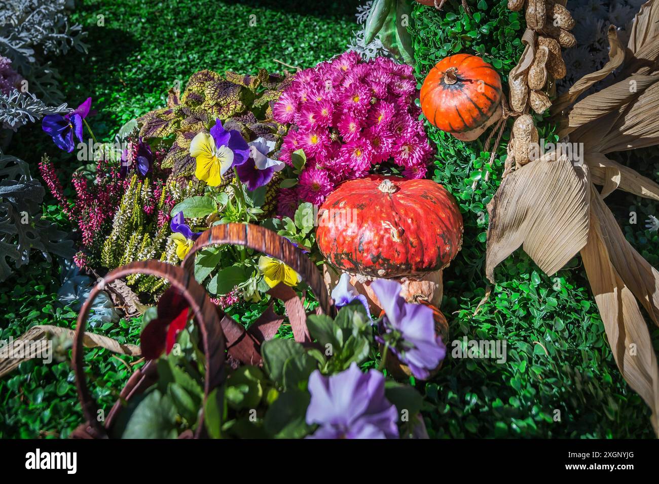 Colorful autumn still life with fall flowers and pumpkin Stock Photo ...
