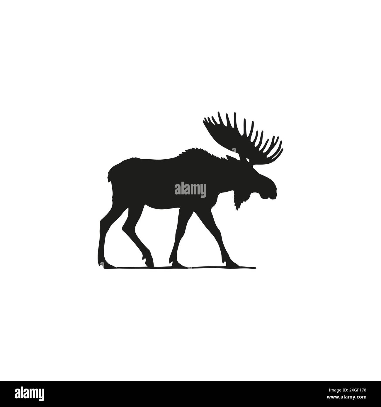 Walking majestic Cut Out Stock Images & Pictures - Alamy