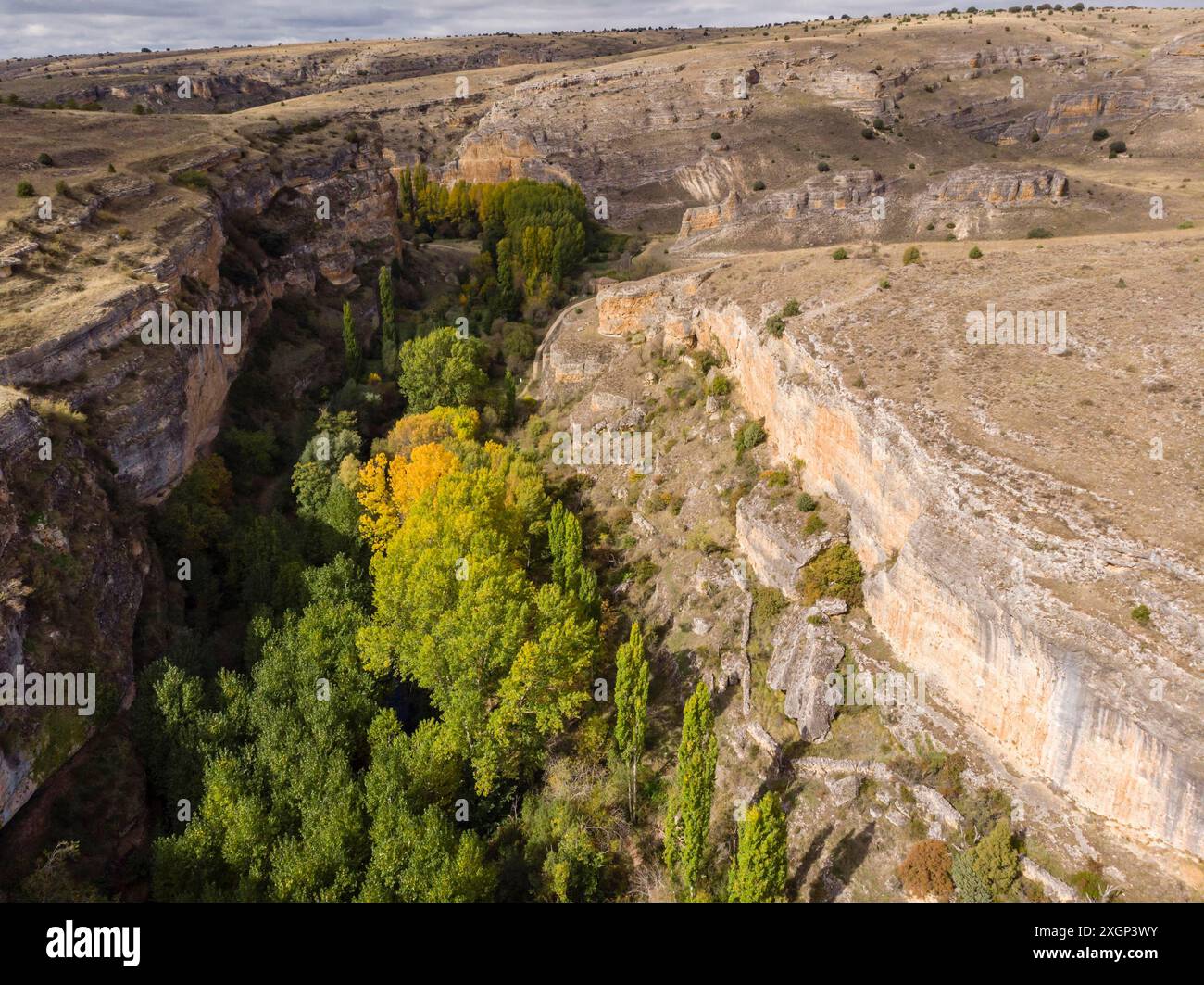 Meander, Las Hoces del Rio Duraton Natural Park, Segovia province ...