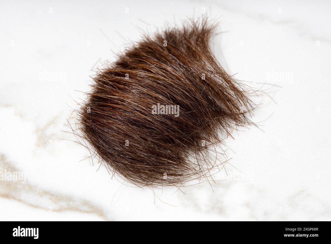 Haircut detail hi-res stock photography and images - Alamy